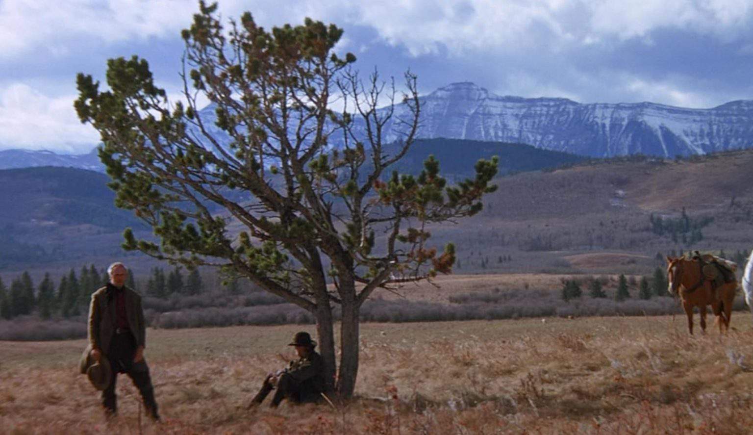 12 Modern Western Films That Honor Classic Cowboy Traditions - 24/7 Tempo