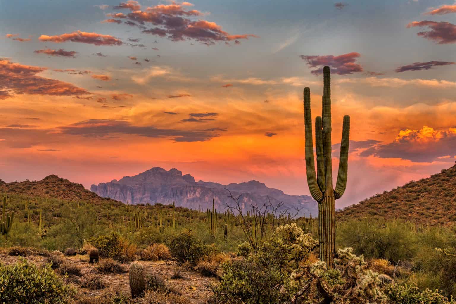 20 Things Arizona is Known For - 24/7 Tempo