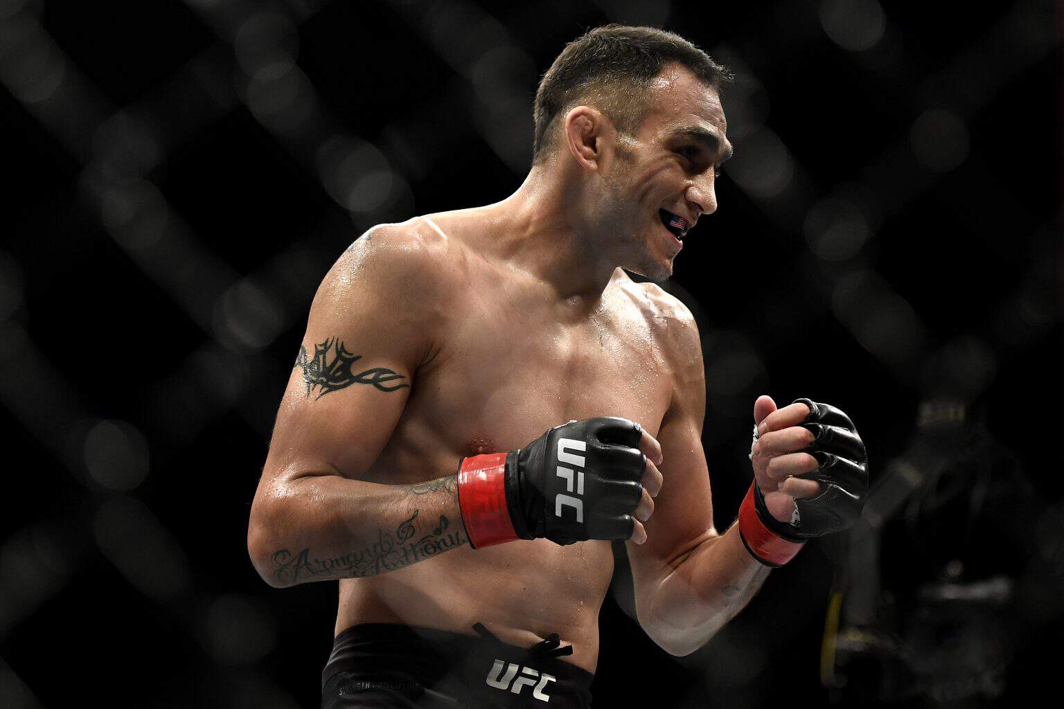 Every Winner of 'The Ultimate Fighter' and What They're Doing Now - 24/ ...