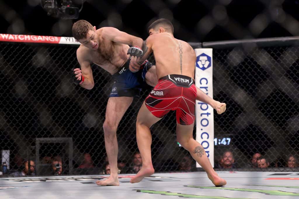 Every Winner of 'The Ultimate Fighter' and What They're Doing Now - 24/ ...