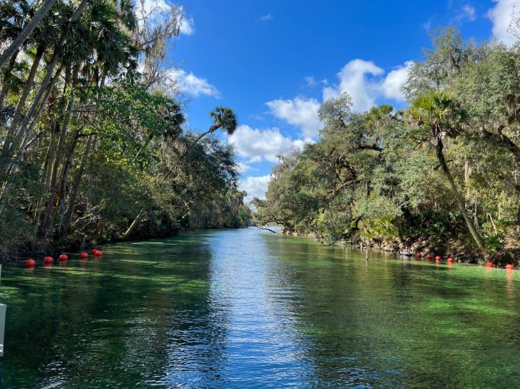 The 15 Must-See Destinations in Florida Right Now - 24/7 Tempo