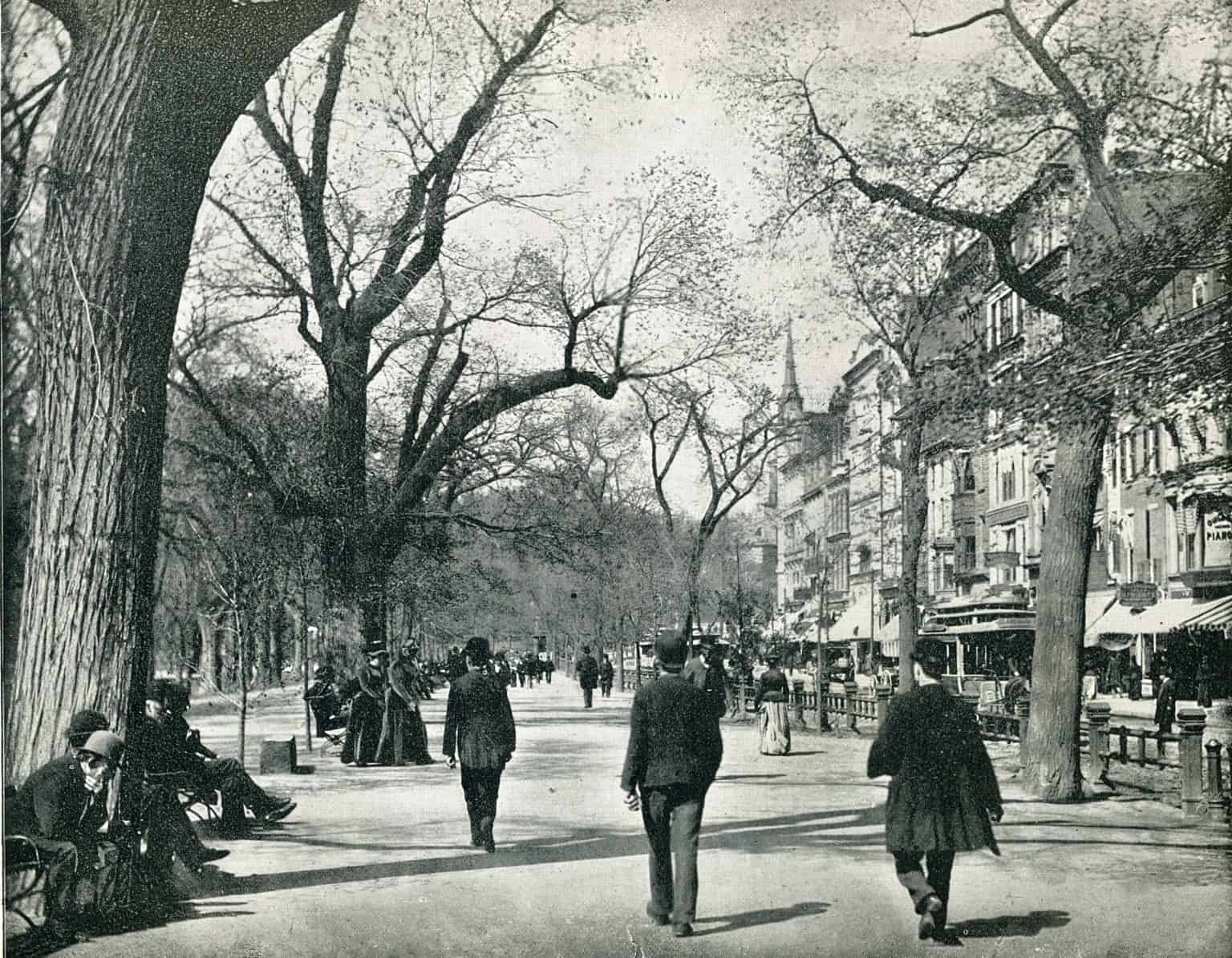 15 Fascinating Photos That Life in the 1800s - 24/7 Tempo