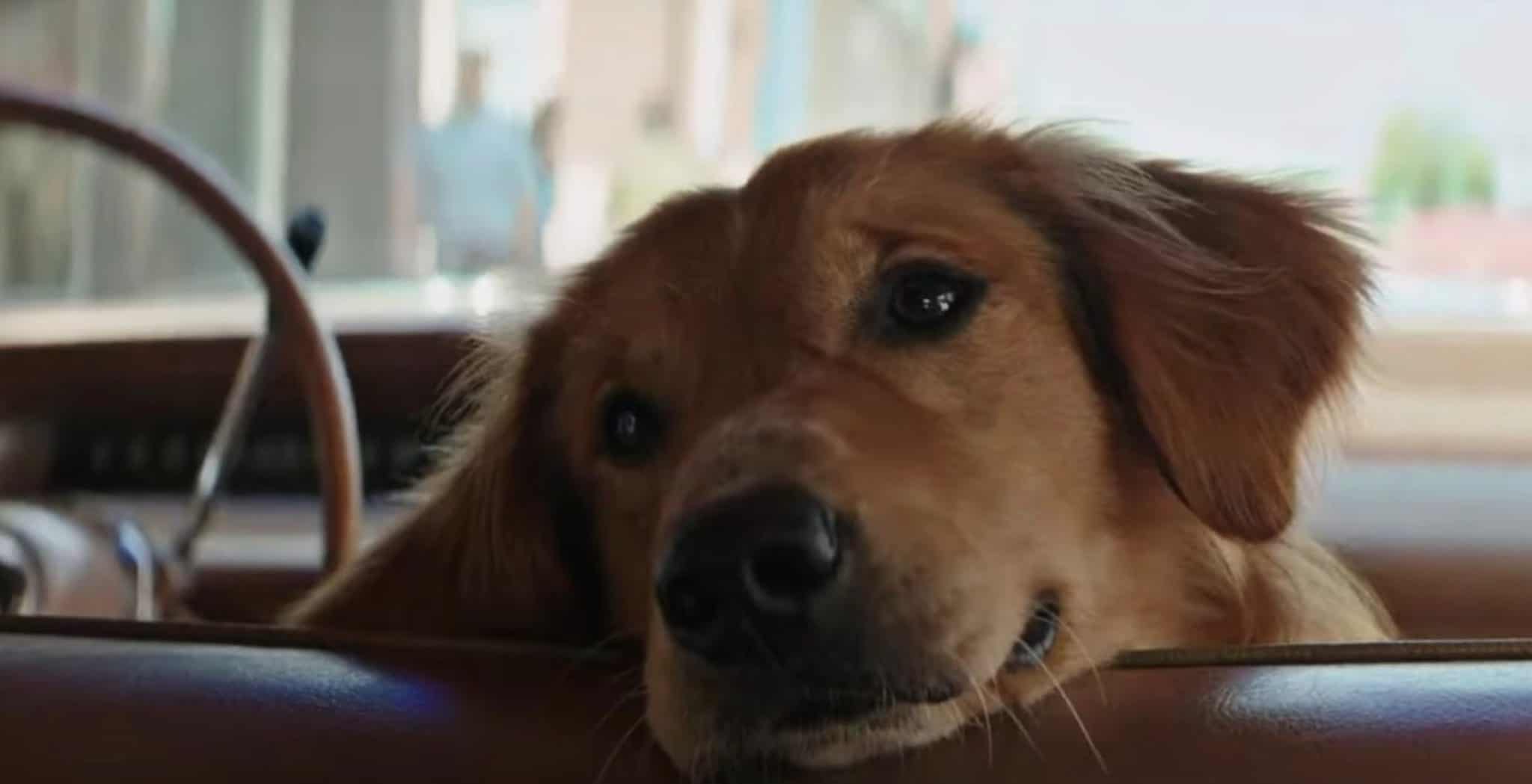 22 Very Sad Movies With Happy Endings - 24/7 Tempo