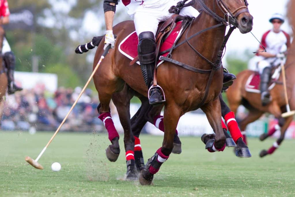 The Oldest Sports in History That Are Still in Action - 24/7 Tempo