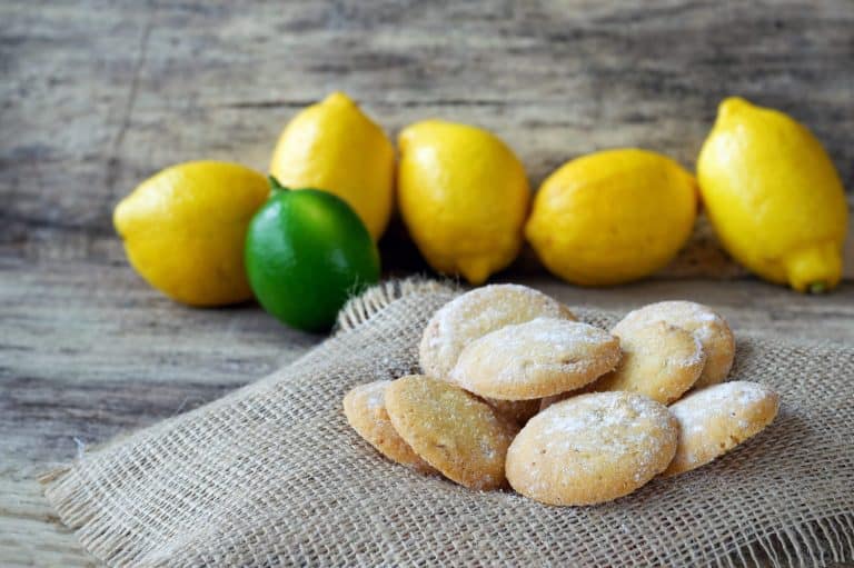 20 Forgotten Cookies We Want Back - 24/7 Tempo