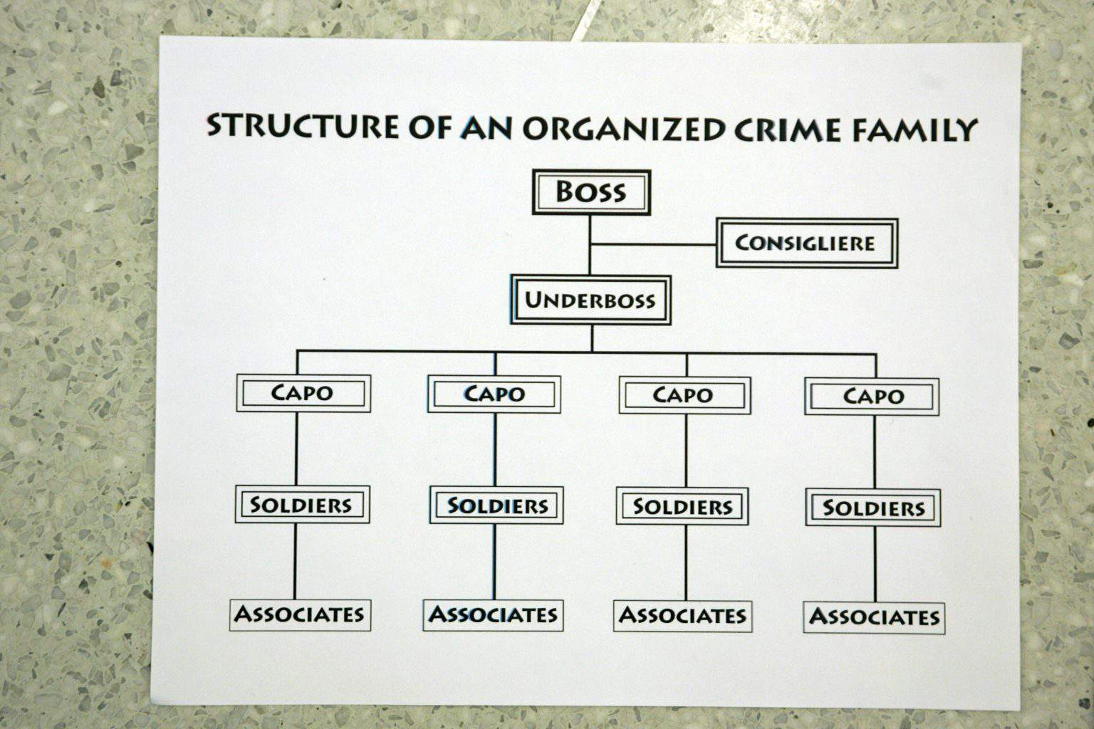 The Real Families Behind Modern Organized Crime - 24/7 Tempo