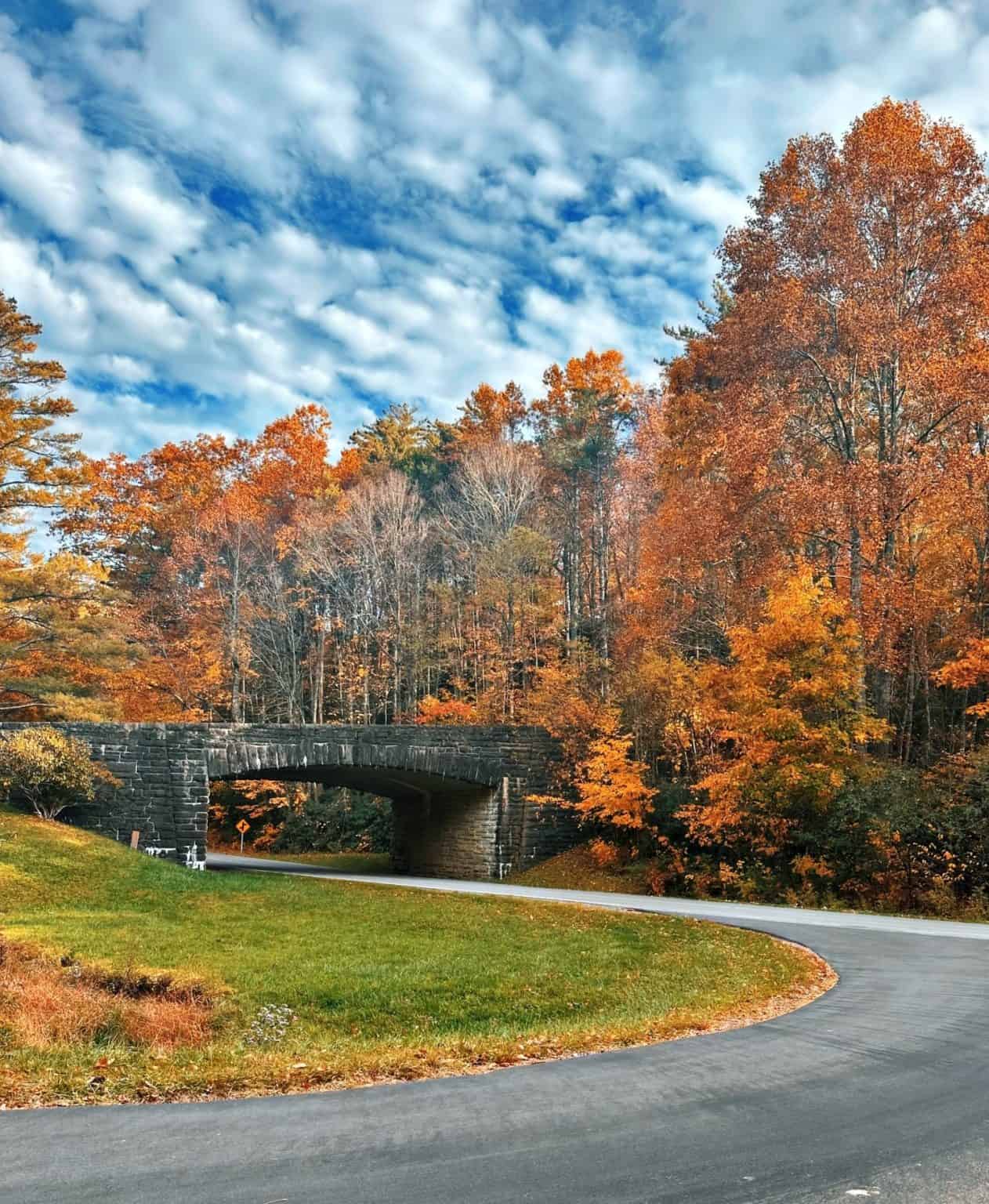5 Most Beautiful Drives for Fall Leaf-Peeping - 24/7 Tempo