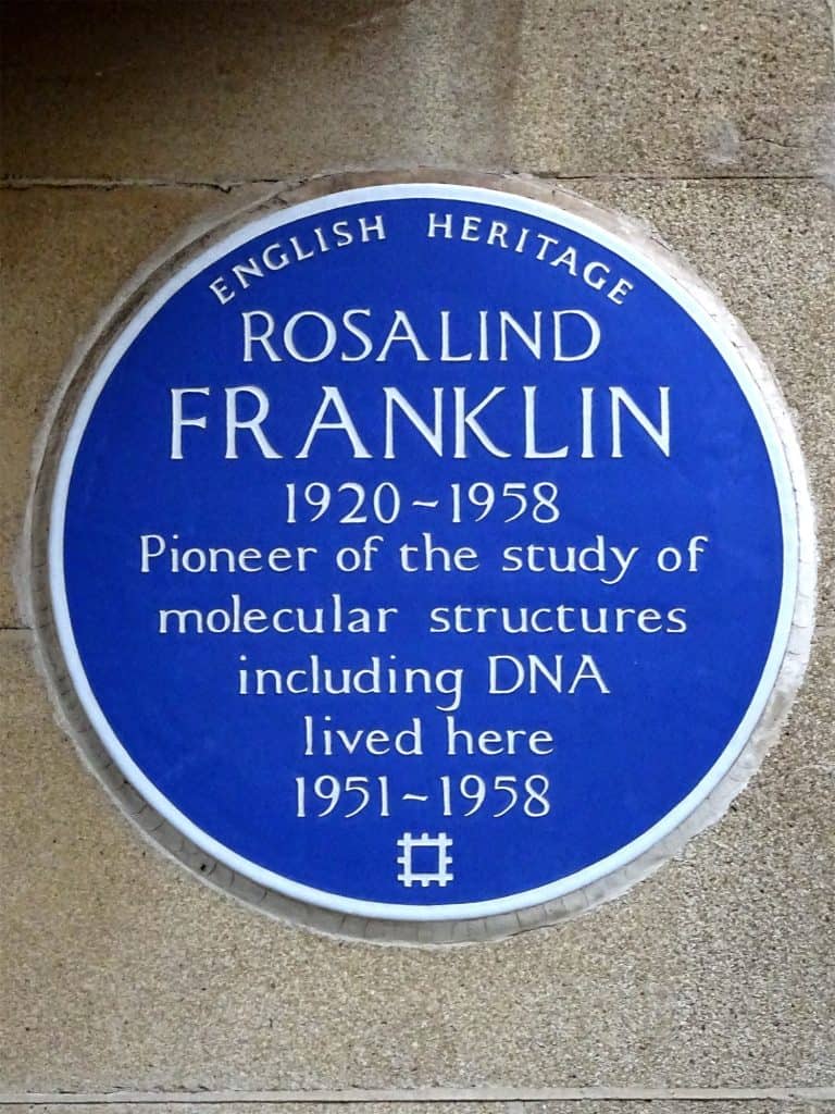 Celebrating Rosalind Franklin's Birthday and Her Scientific Discoveries ...
