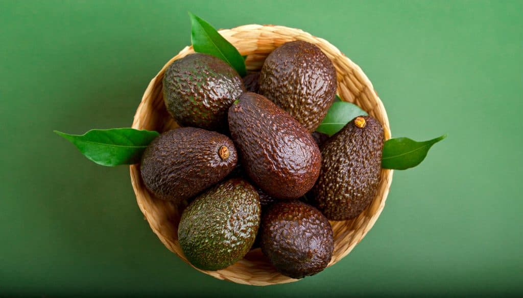 10 Avocado Health Benefits to Celebrate National Avocado Day - 24/7 Tempo
