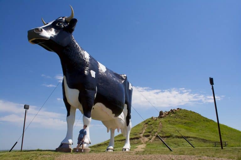 The Weirdest High School Mascots Found In Every State - 24/7 Tempo